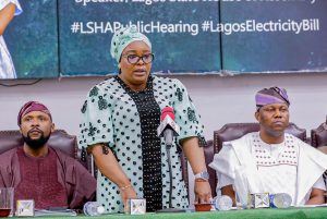 Lagos Assembly Passes Vote Of Confidence On Speaker Meranda Amid ...