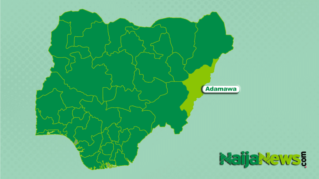 Six Injured In Suspected Boko Haram Bomb Attack In Adamawa Village ...