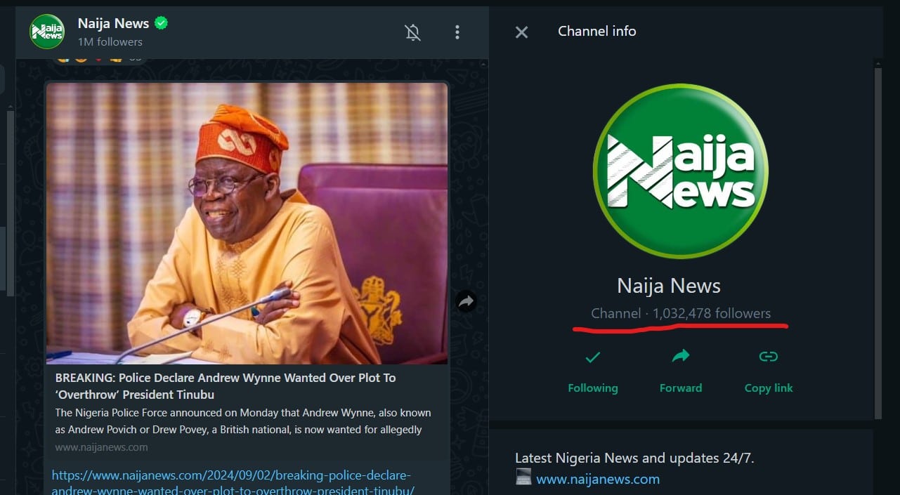 Naija News, PUNCH, Others Make Top 20 Most Followed News Platforms In ...