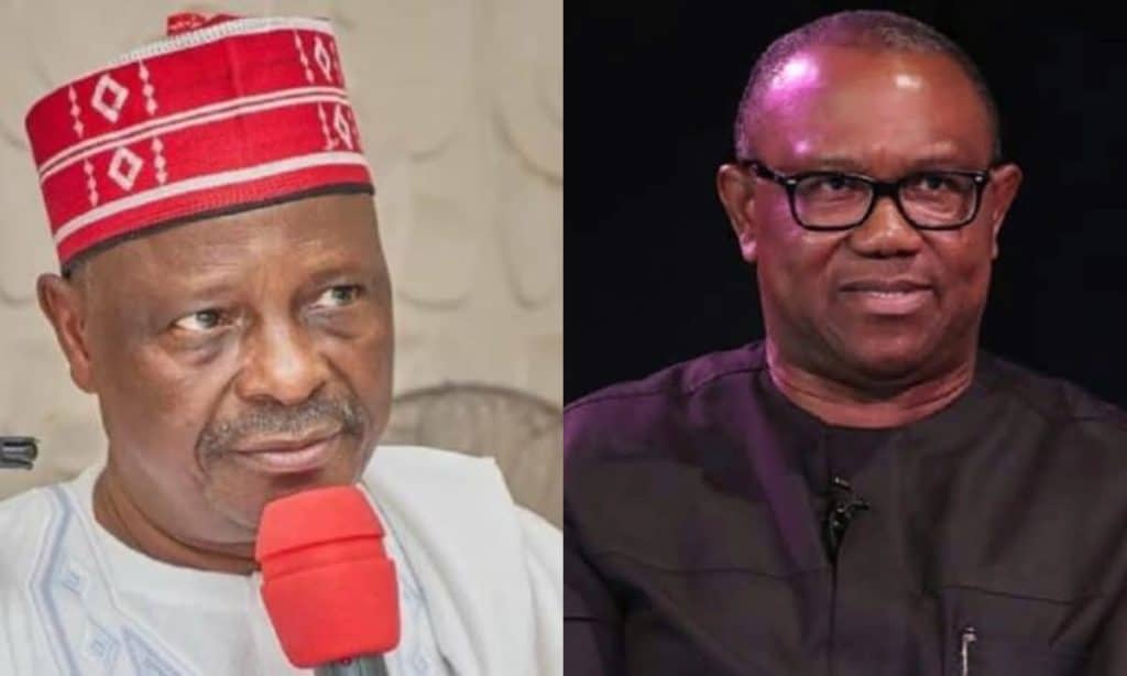 NDC Moves To Stop Peter Obi, Kwankwaso, Others From Defecting To ...