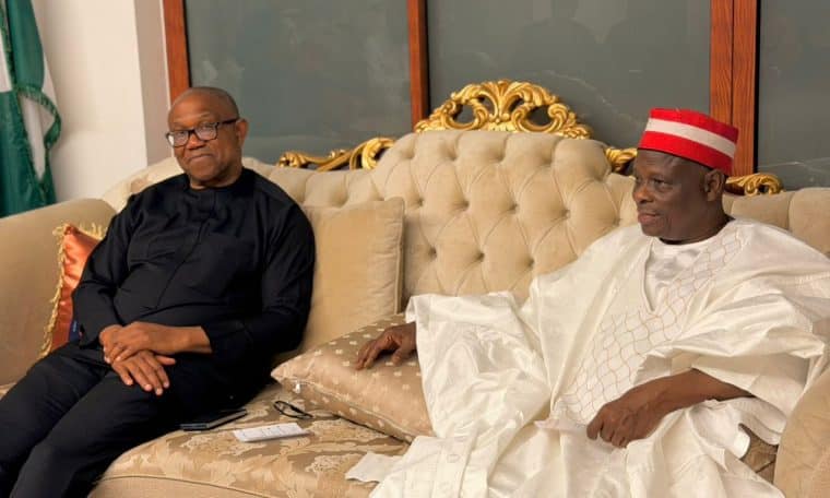Kwankwaso Reveals Details Of Meeting With Peter Obi In Abuja